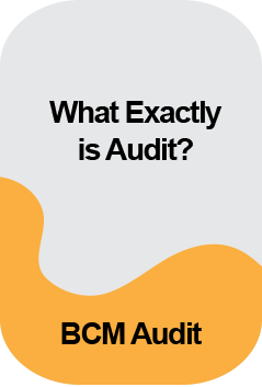 What Exactly is BCM Audit?